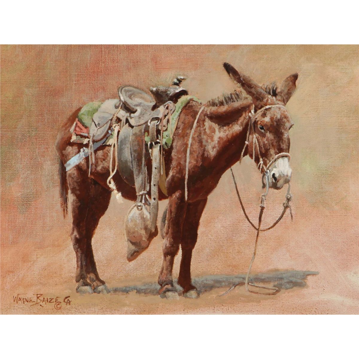 Baize, Wayne - Slow Transportation