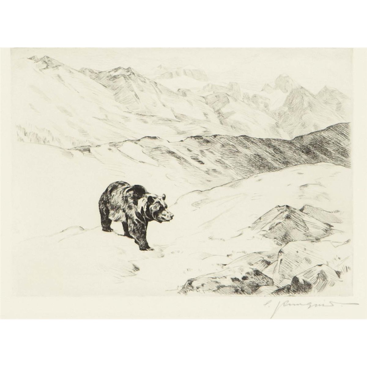 Rungius, Carl - Old Prospector