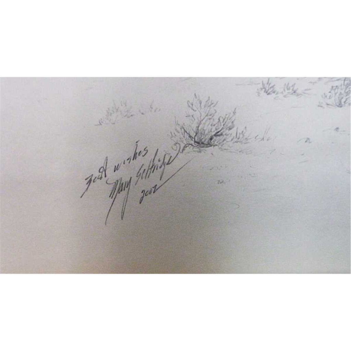 3 prints signed by southwest artists Carole Bourdo and Mary Selfridge ...