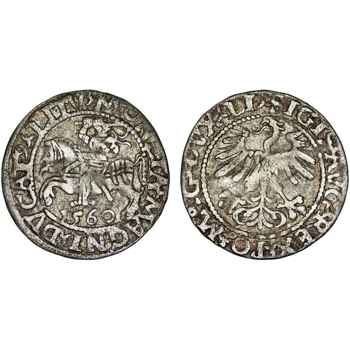 Lithuania. Sigismund II Augustus (1546-1572). Silver Half Gross 1560. VF