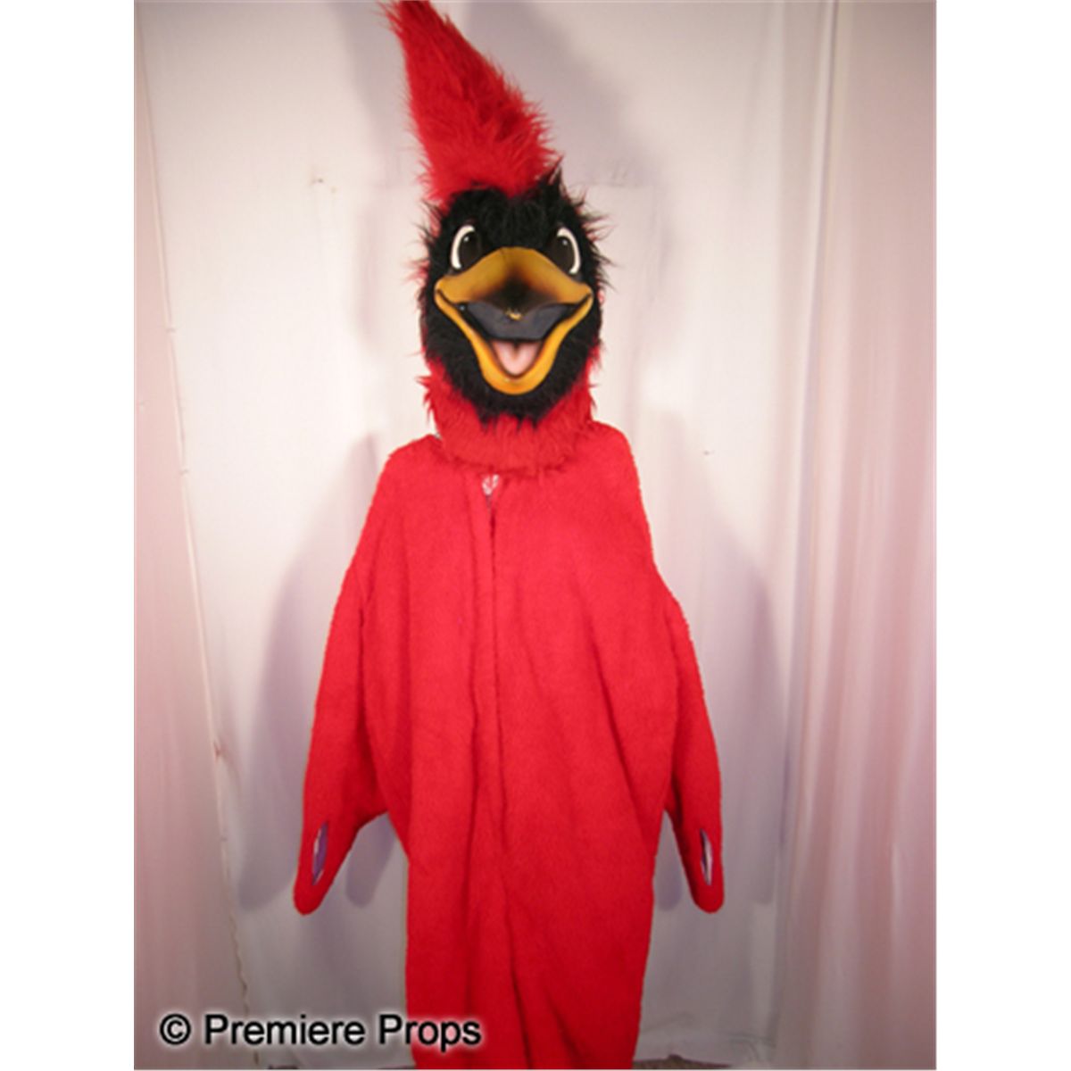 Cardinal Mascot Costume