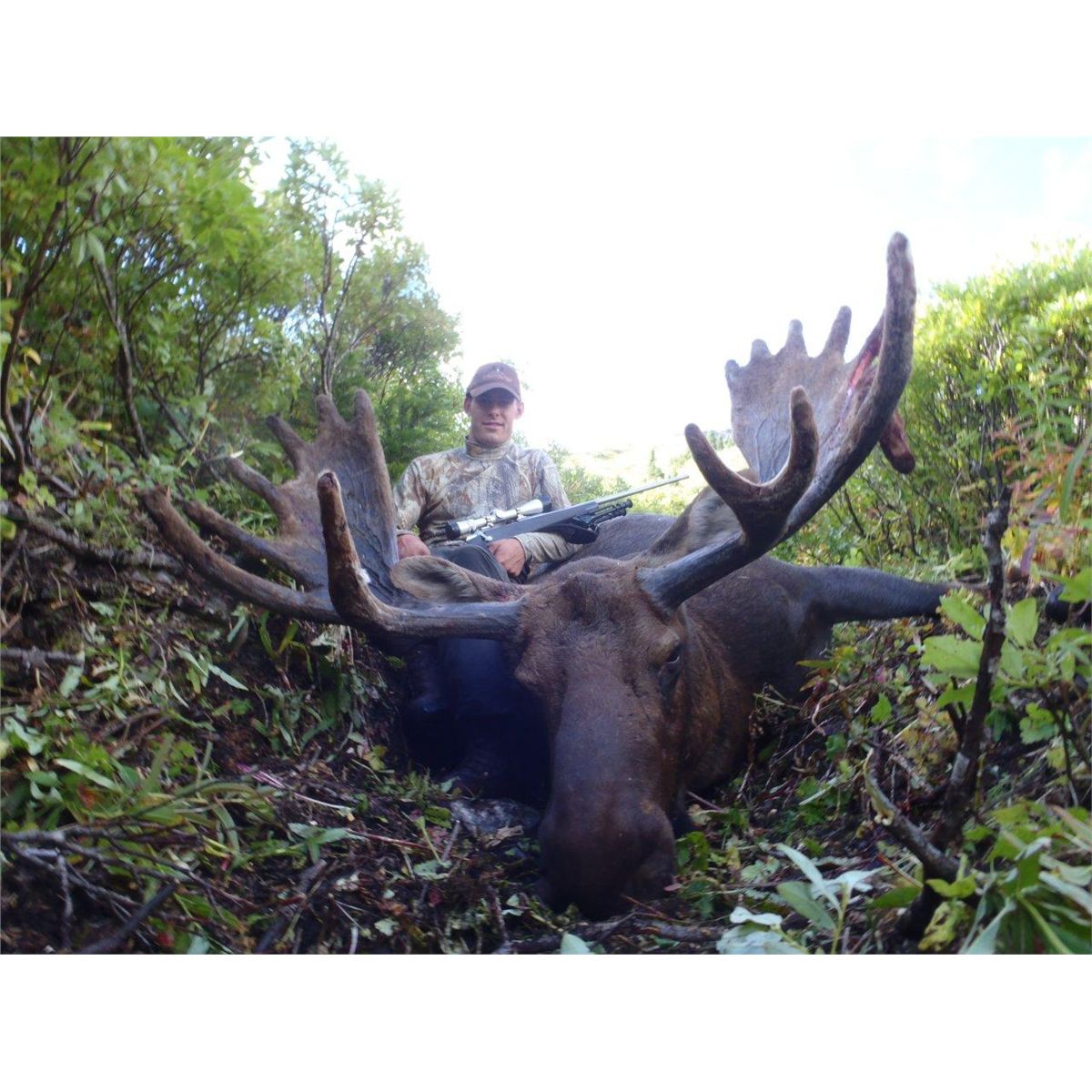 *British Columbia – 10 Day – Early Season Moose Hunt for One Hunter