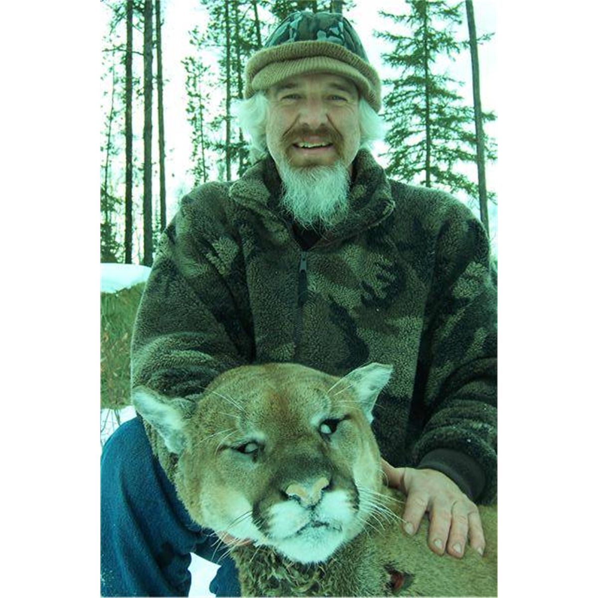 *British Columbia – 7 Day – Cougar, Lynx, Wolf and Coyote Hunt for One ...