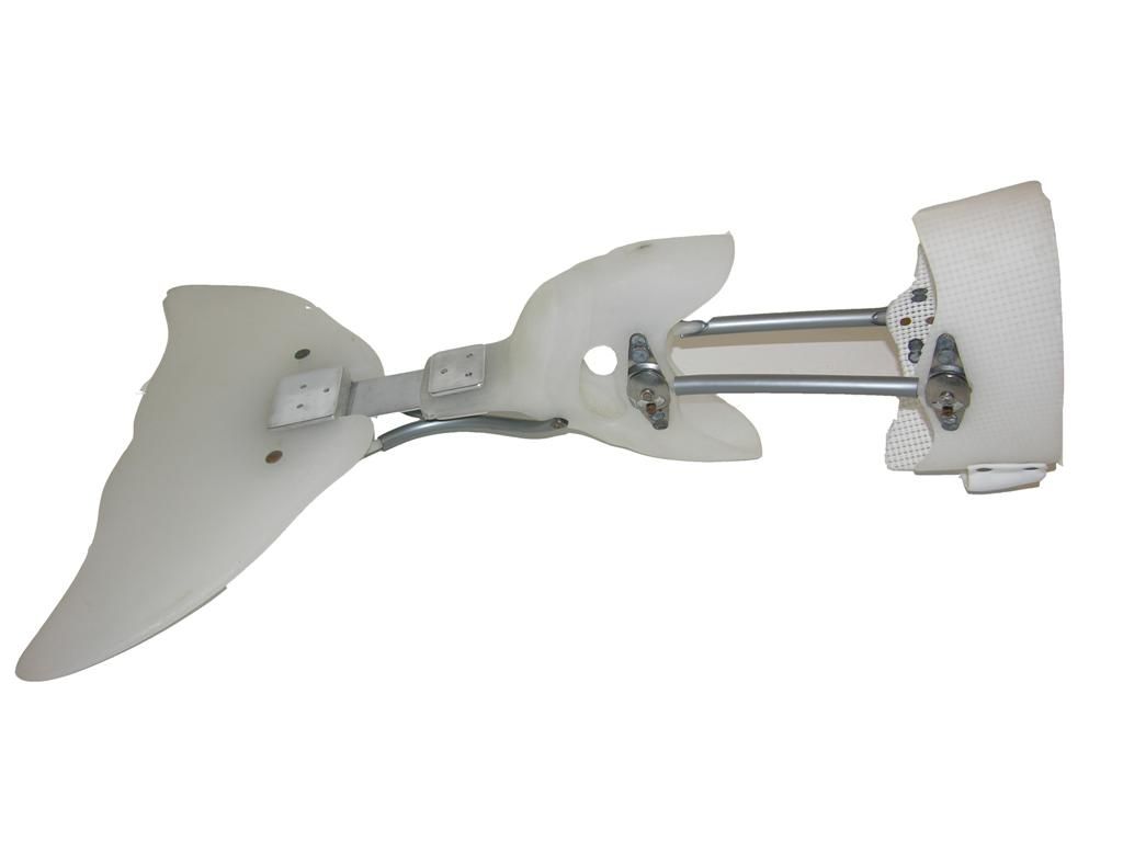 Winter's Prosthetic Tale from Dolphin Tale