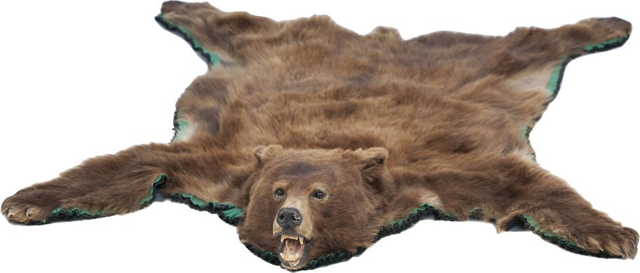 Brown Bear Rug