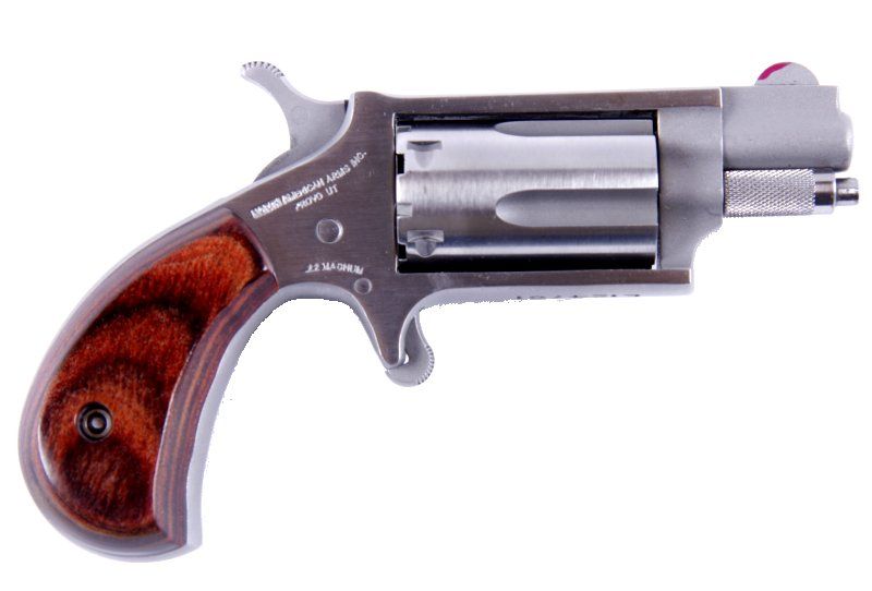 North American Arms Mdl NAA-22MS Cal .22mag