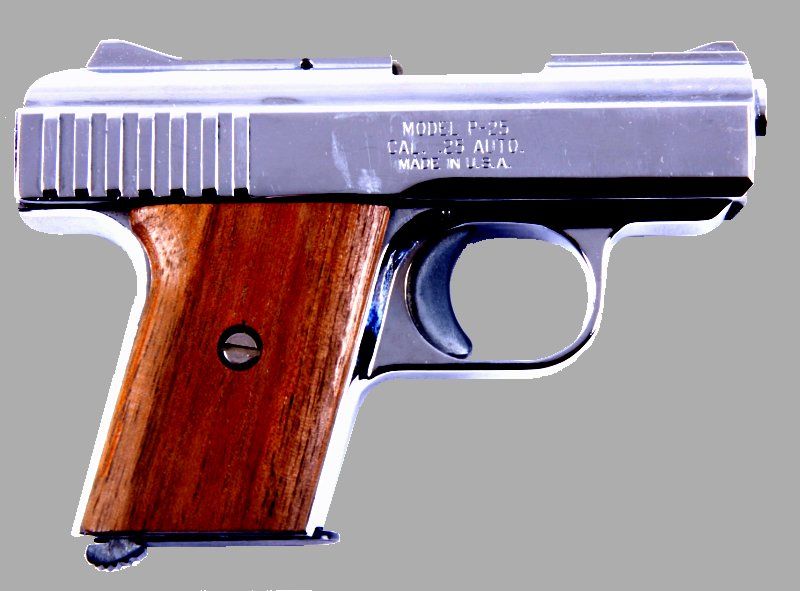 Raven Arms Mdl P-25 Cal .25acp SN:566937