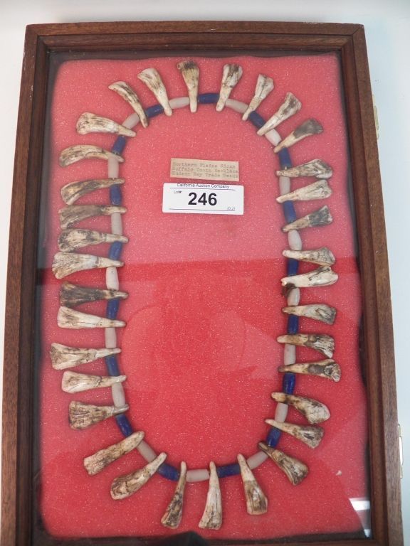 Northern Plains Sioux Buffalo Tooth Necklace -- With Hudson Bay Trade Beads