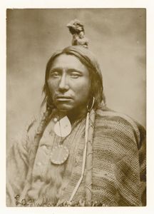 L.A. Huffman, Sioux Chief Spotted Eagle 1879, FT, VCP in 100% rag book ...