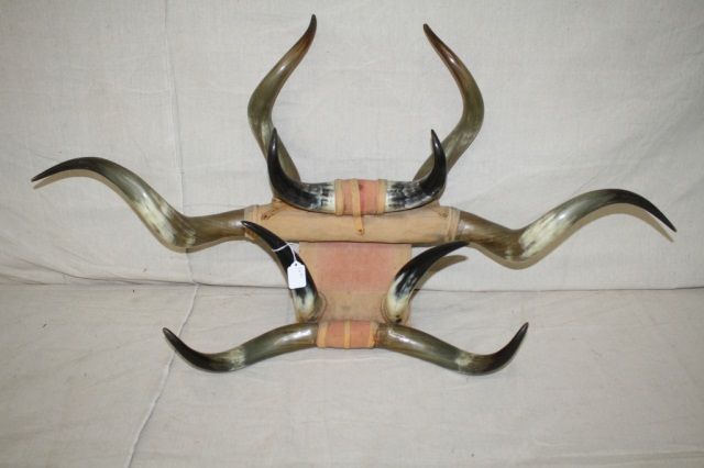 Bull Horn Wall Hat Rack