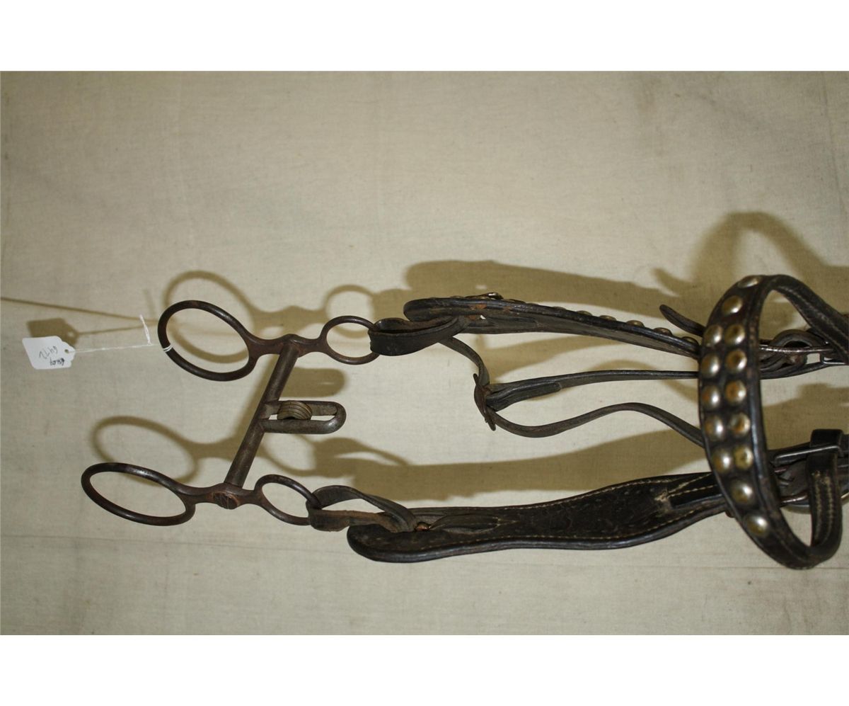 Spotted Headstall with Buermann Globe Bit