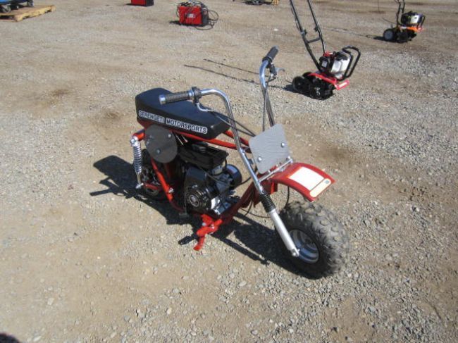 Serengeti Motorsports Mini Bike