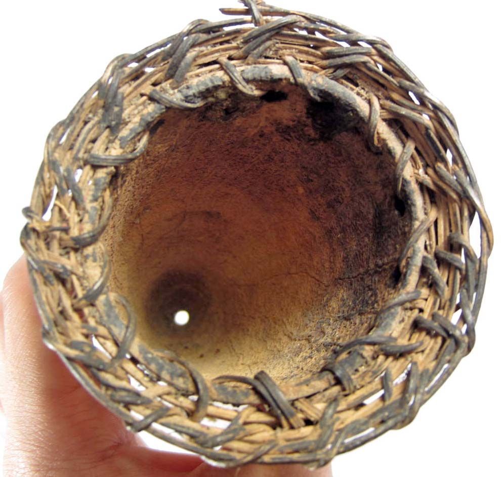 KOTEKA / PENIS GOURD/SHEATH FROM PAPUA NEW GUINEA