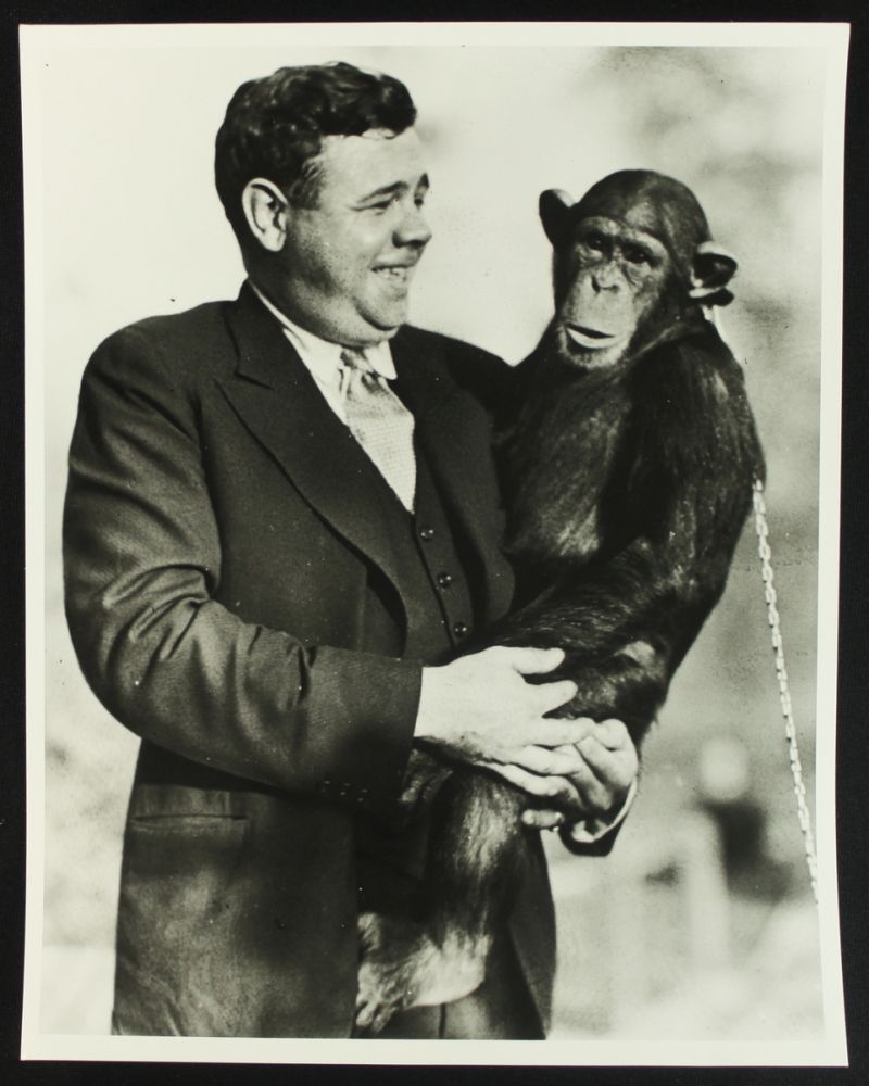 Babe Ruth with monkey 11x14 Photo from The Library of Congress Archives