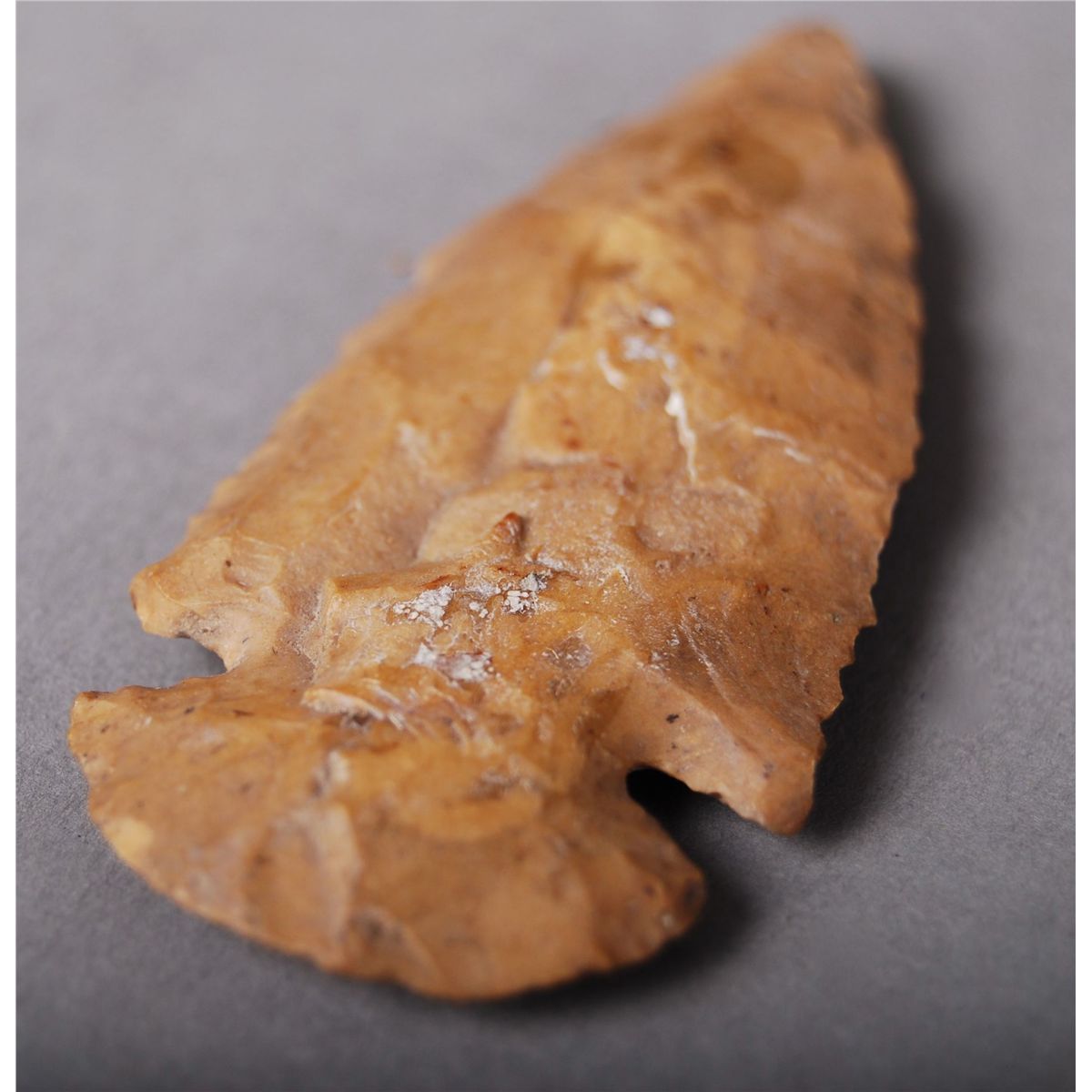Native American Indian Artifact Brown Dovetail Arrowhead