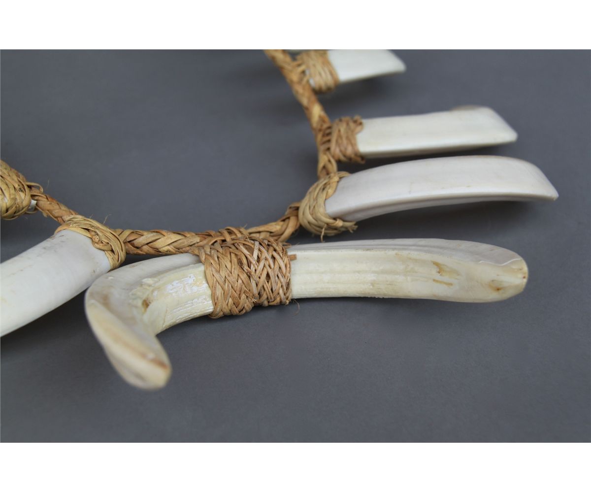 Wild Boar Tusk Necklace
