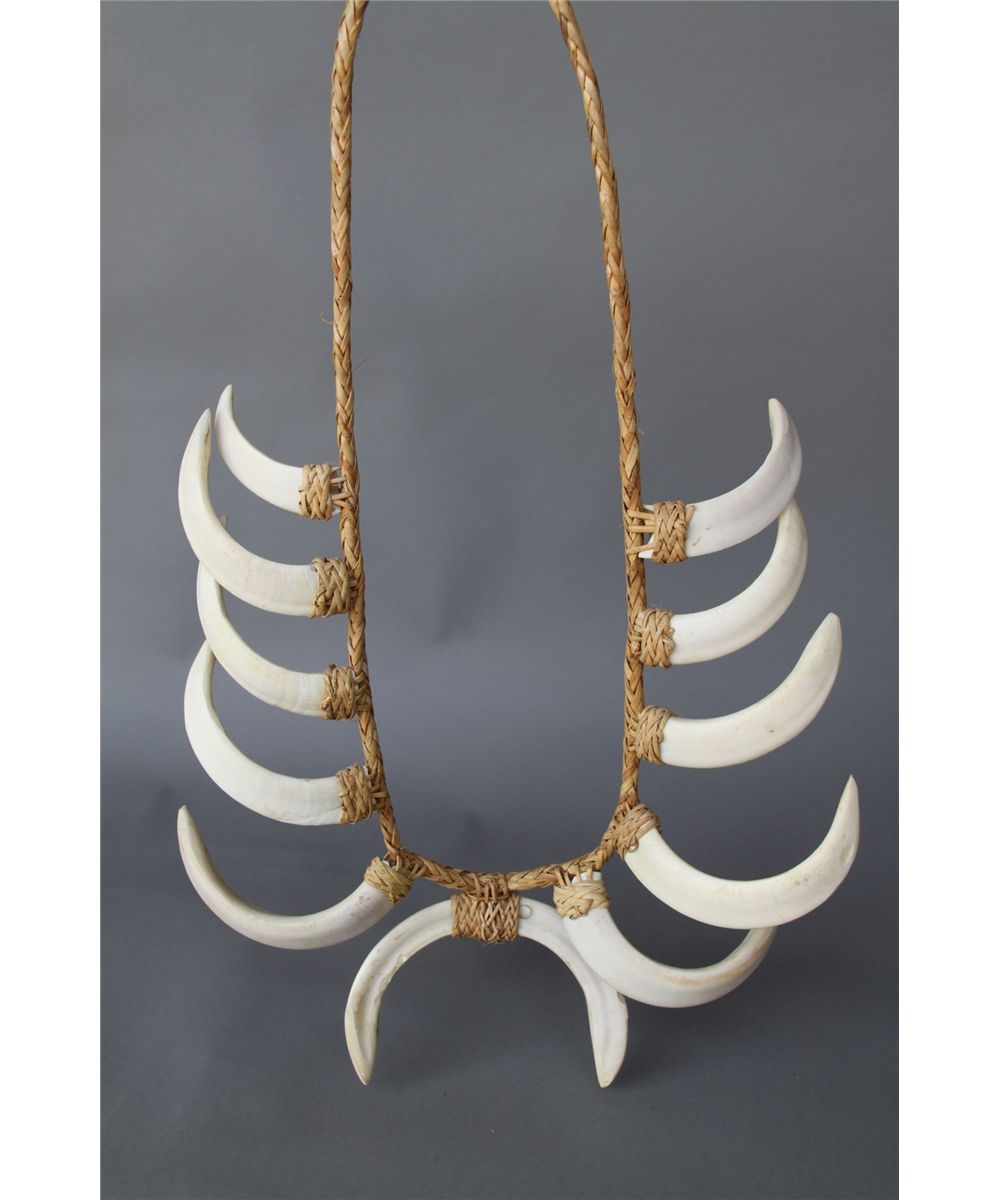 Wild Boar Tusk Necklace