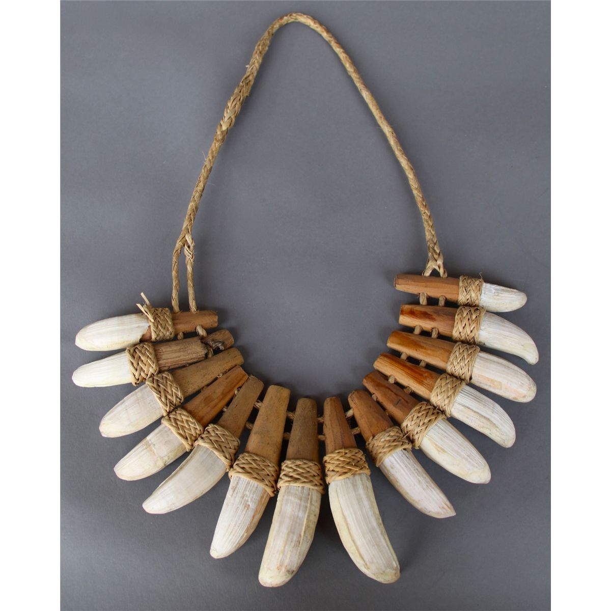 Wild Boar Tusk Necklace…