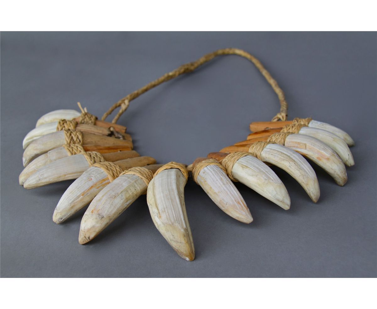 Wild Boar Tusk Necklace…