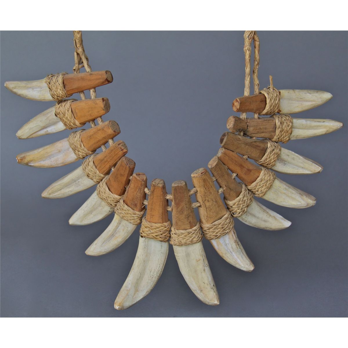 Wild Boar Tusk Necklace…
