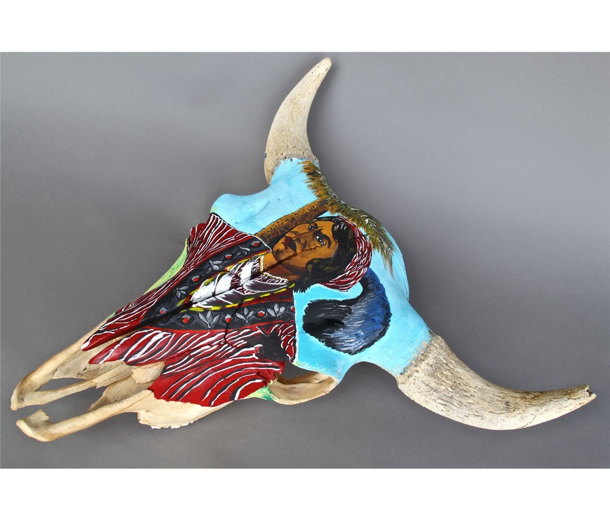 Seminole Indian Hand Painted Buffalo Skull