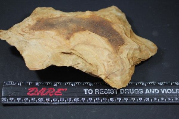 9 1/2" Turtle Effigy-Mill Creek, Chert, Tennessee