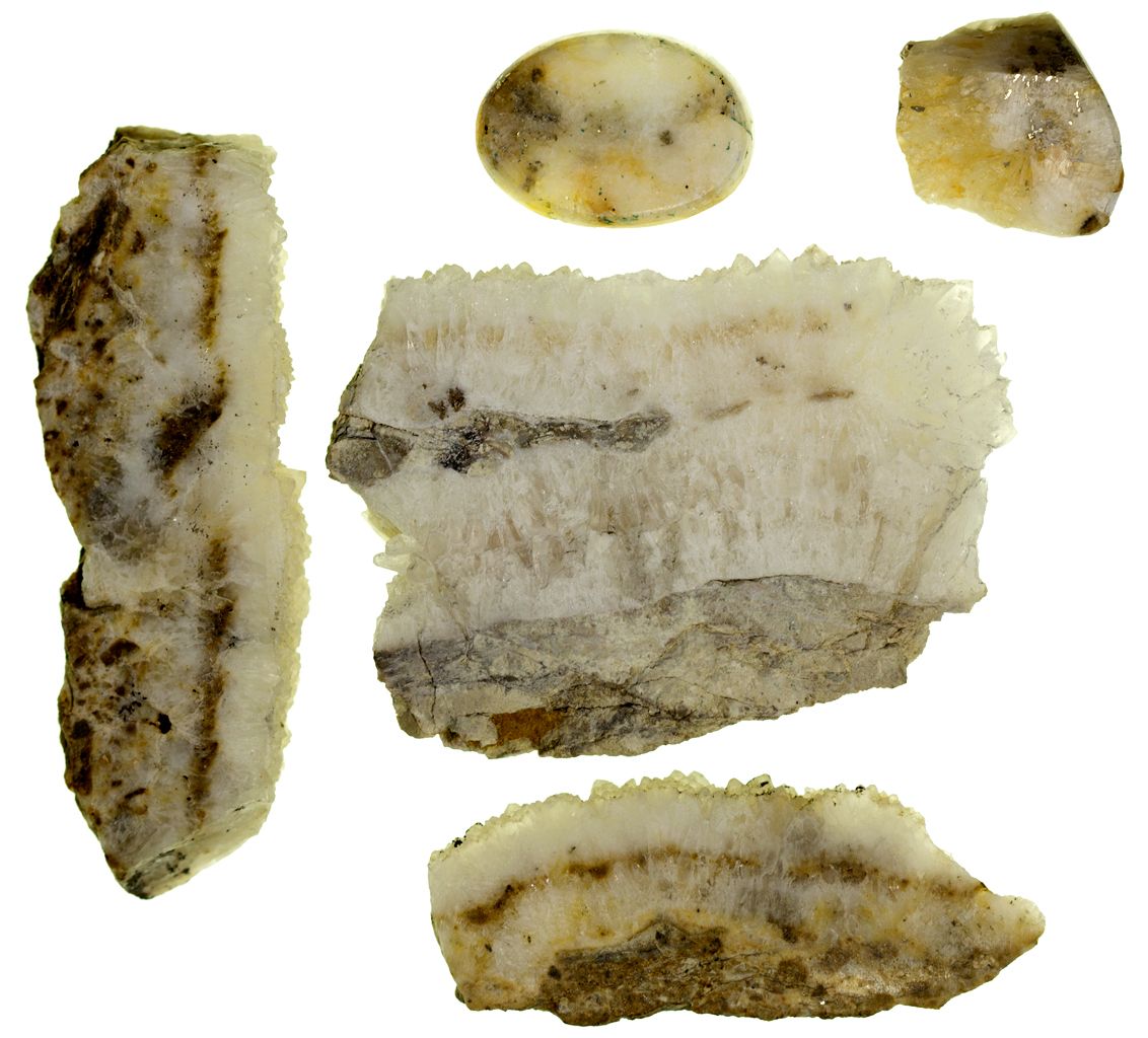 Gold Ore Slabs NV - Virginia City,Storey County - 2012aug - Mineral ...