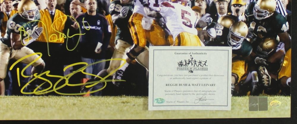 Reggie Bush & Matt Leinart Signed USC "Push" 16x20 Photo (Bush ...