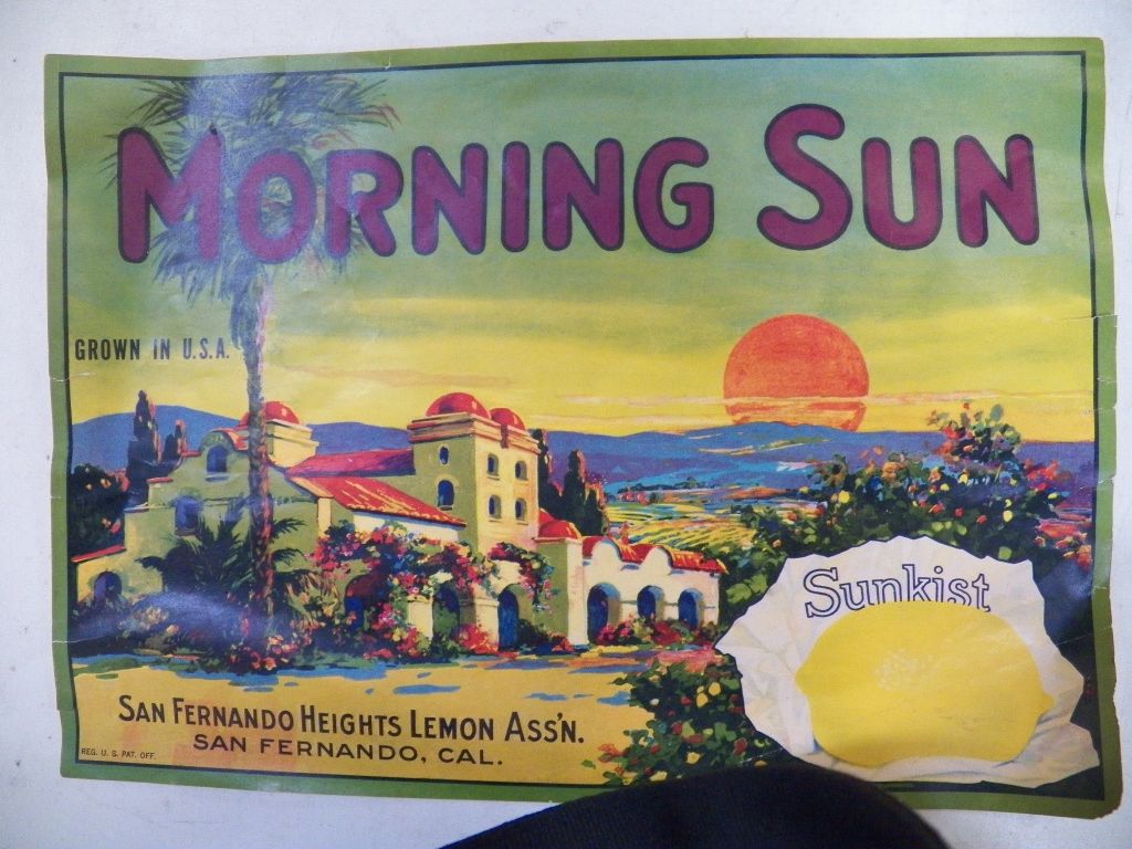 Vintage 1970's Morning Sun (Sunkist Label)
