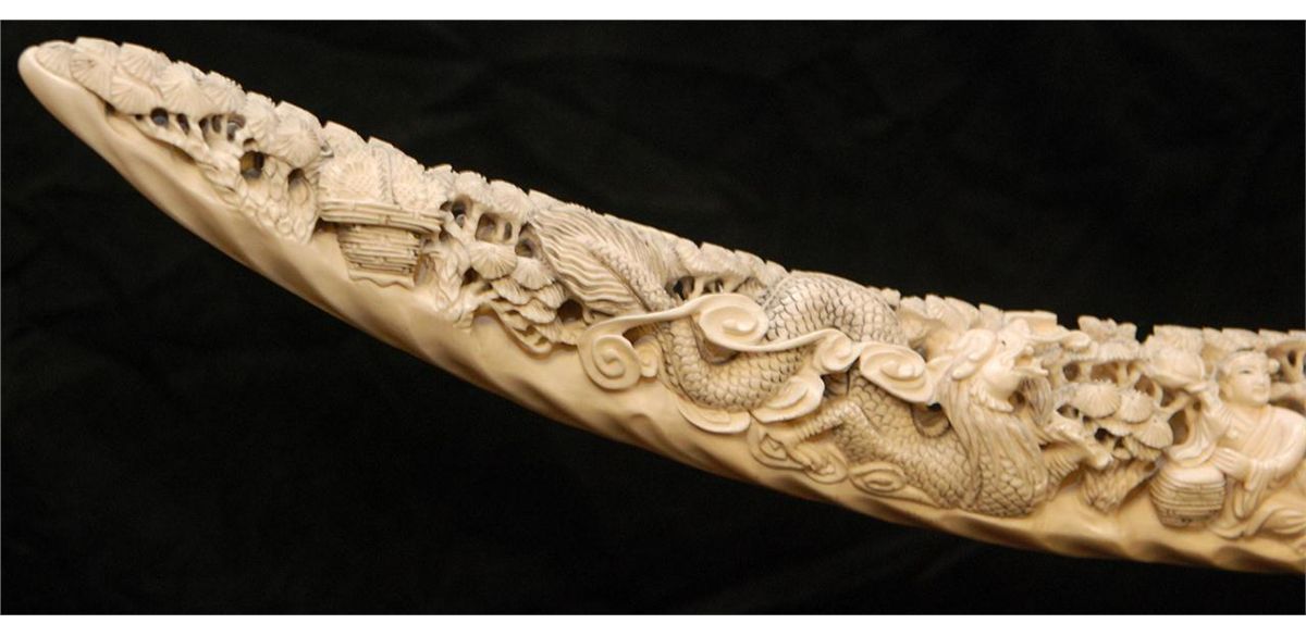 CHINESE QING RELIEF CARVED IVORY SCENE TUSK