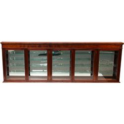 Large Wood & Glass Wall Display Cabinet