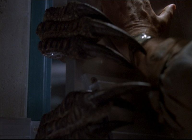 Jurassic Park - Velociraptor Claw