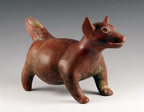 Fine Colima Dog, Pre-Columbian West Mexico