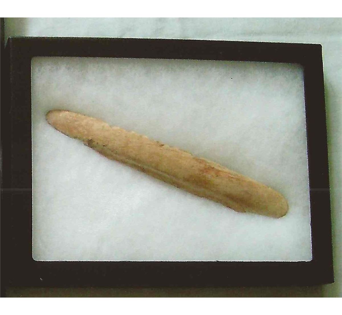 Buffalo bone flaker tool, Mandan tribe, North Dakota