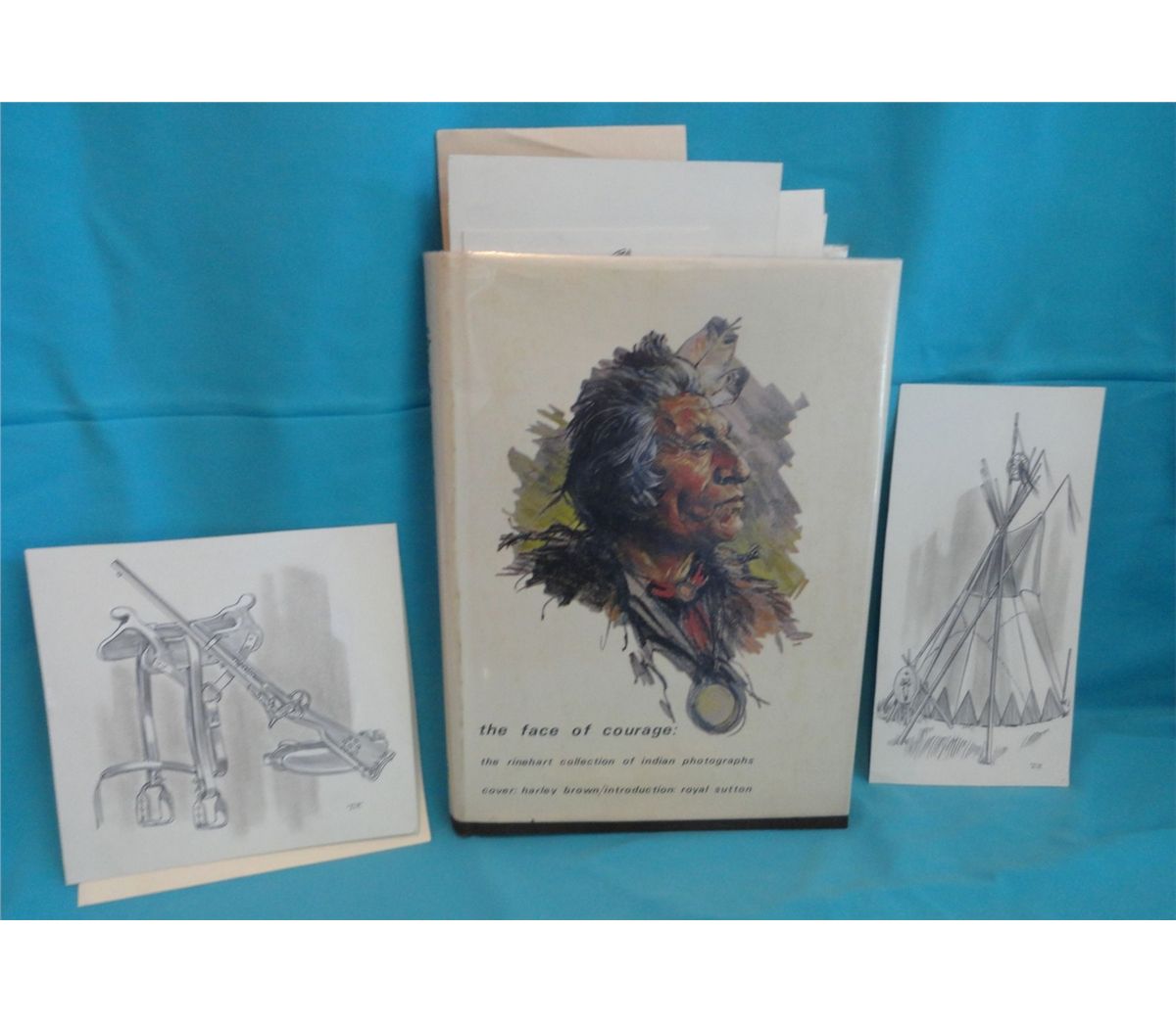 The Face of Courage, the Indian Photographs of Frank A. Rinehart ...