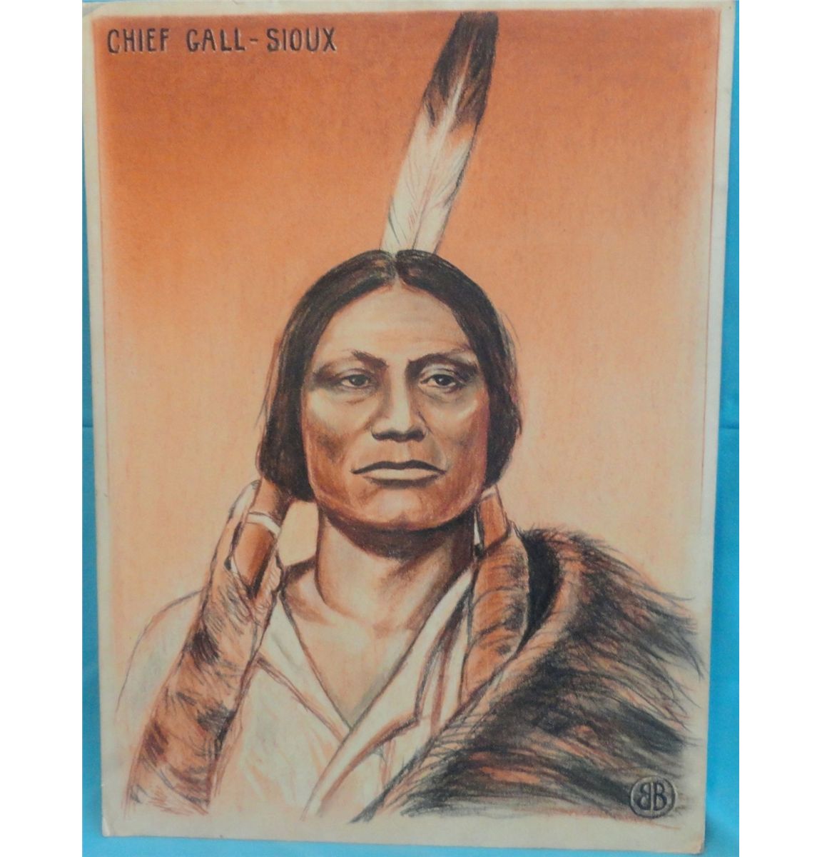 Barron Brown. Brown was as an author and scholar on Custer. Chief Gall ...