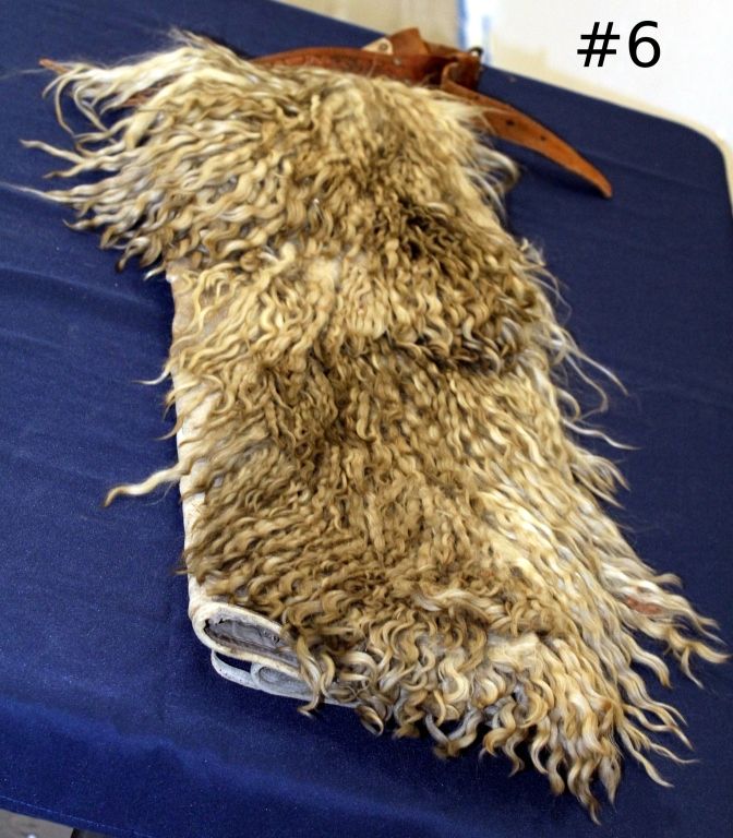 Western Cowboy White Buffalo Chaps