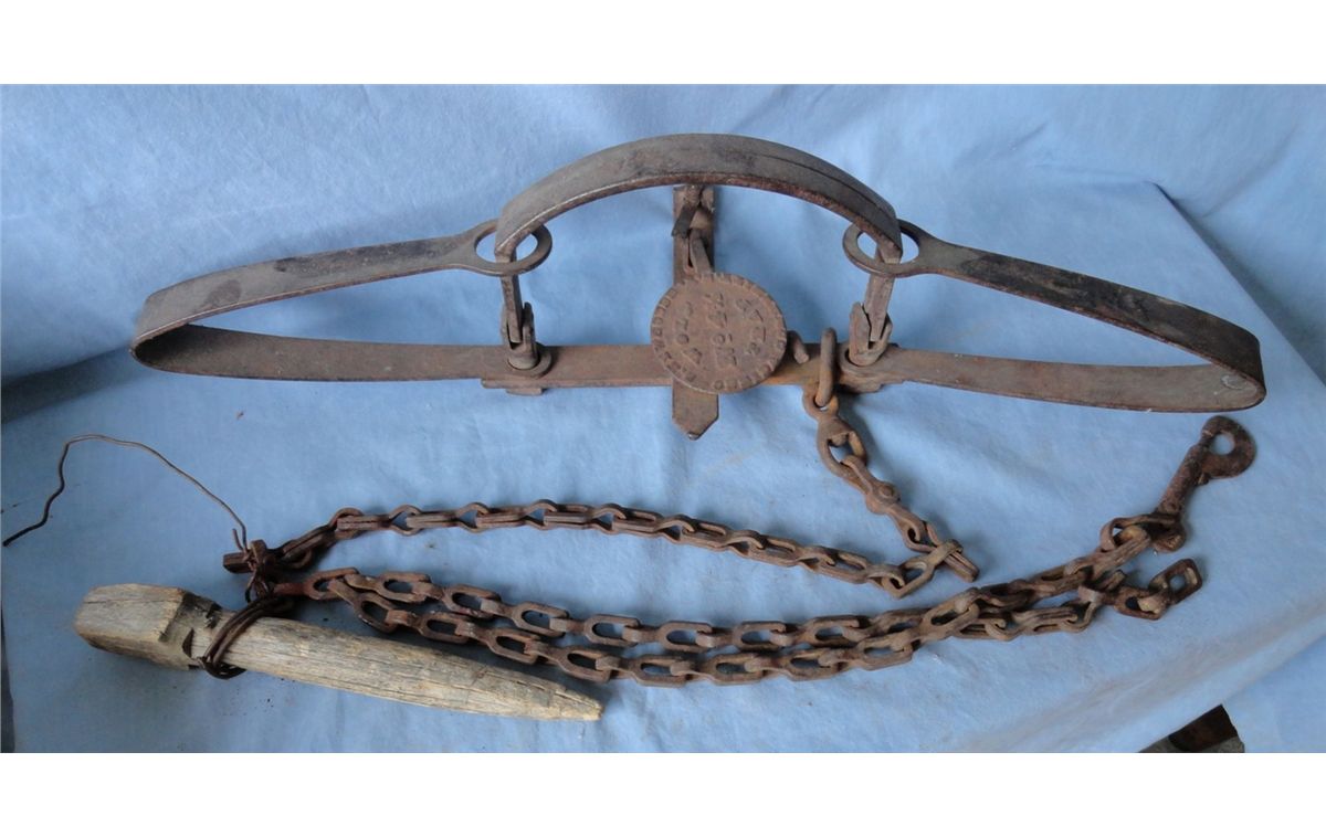 Newhouse wolf trap #4 1/2, original chain