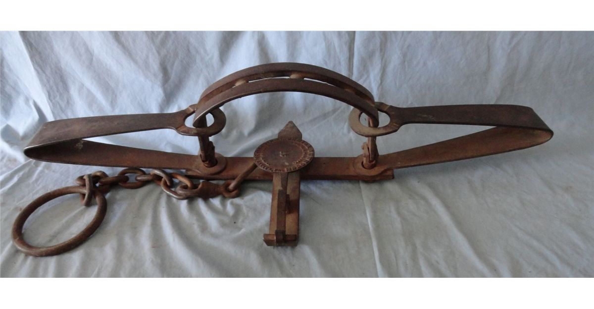 Newhouse #15 bear trap