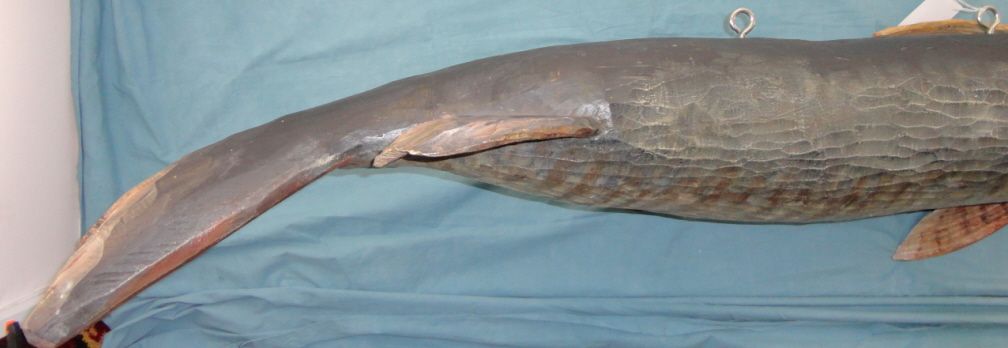 Full Size Chip Carved Wooden Muskie