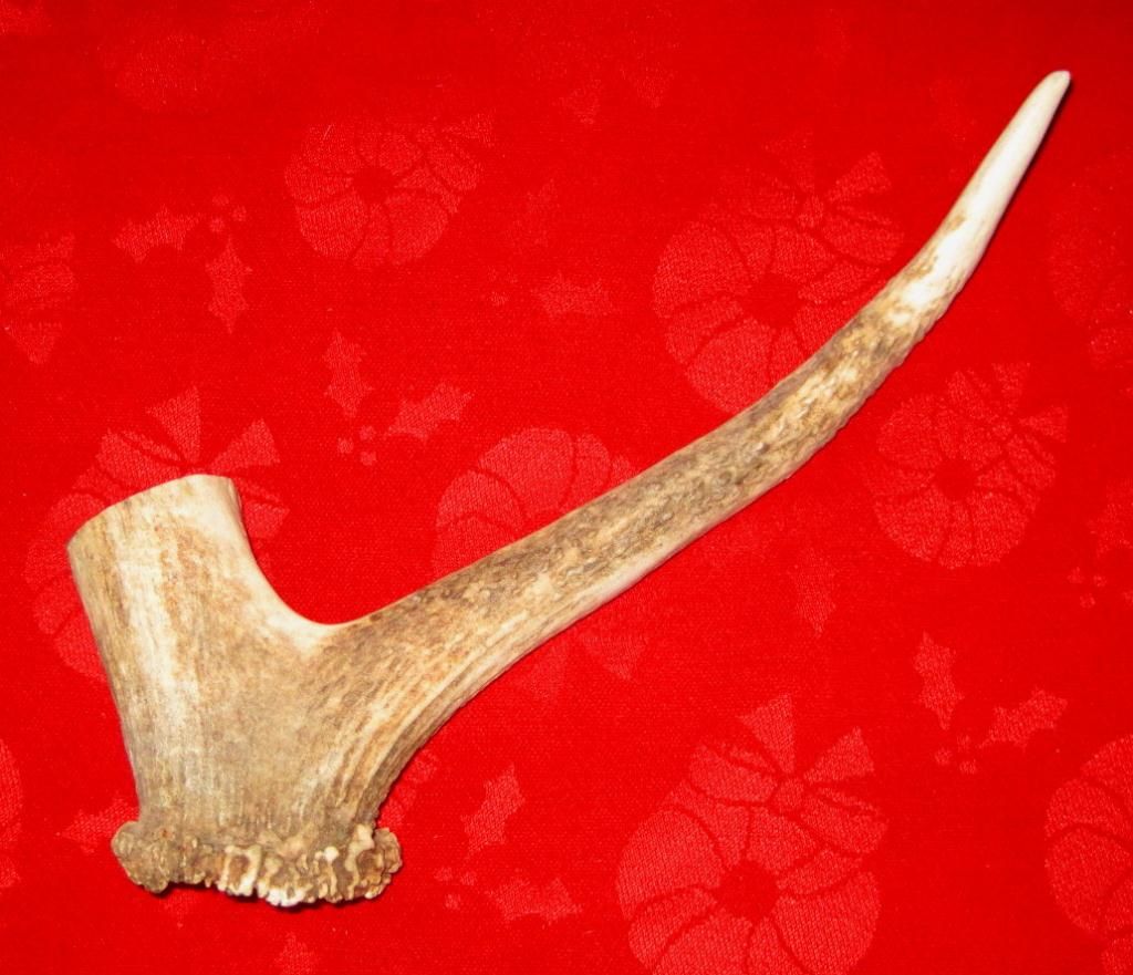 Small Elk Horn Antler Rack with Base