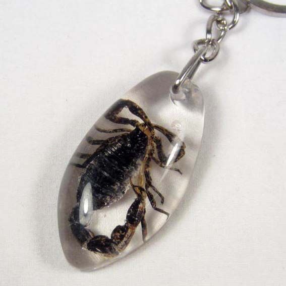 6907 - REAL SCORPION IN CLEAR RESIN KEYCHAIN - 1.75"