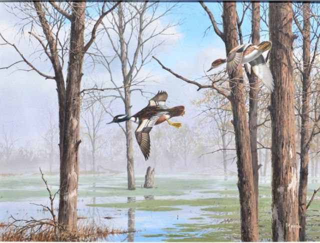 Original oil painting on artist board signed lower right “Maass”. David ...