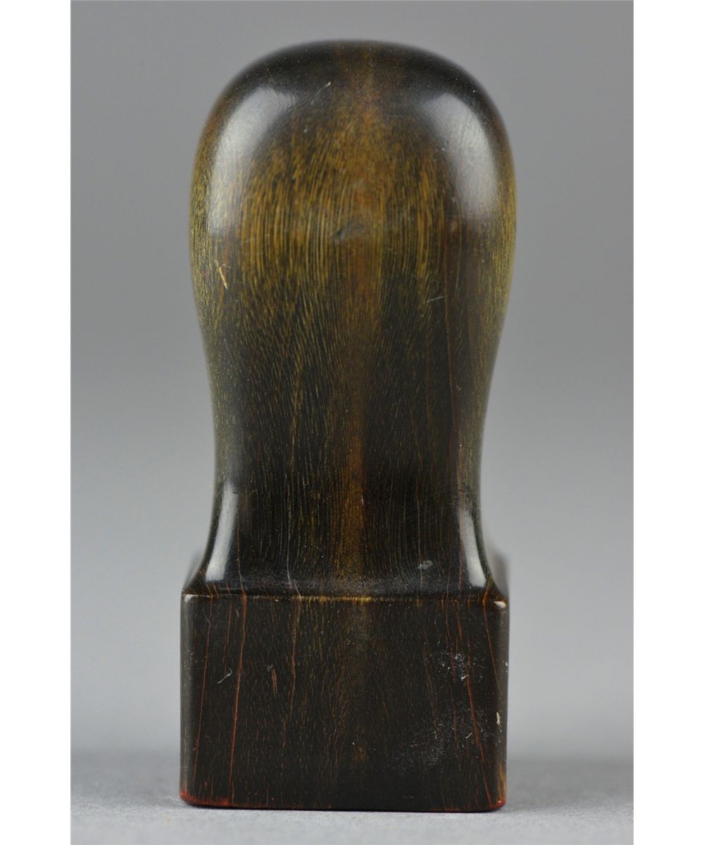 Chinese Rhinoceros Horn Carved Seal