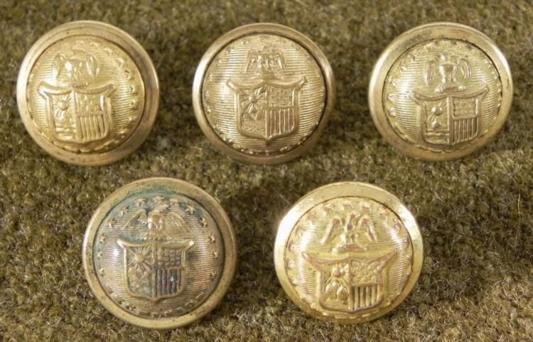 5 New York State Militia Gilt Buttons Pre Civil War