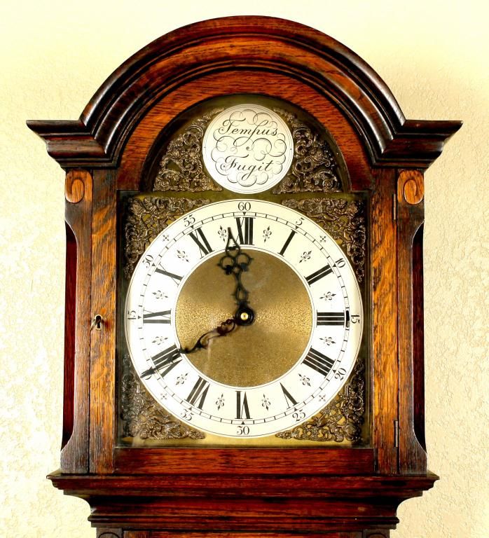 Beautiful Antique Grandfather Clock"Temhus Fugit" on face, tiger oak ...