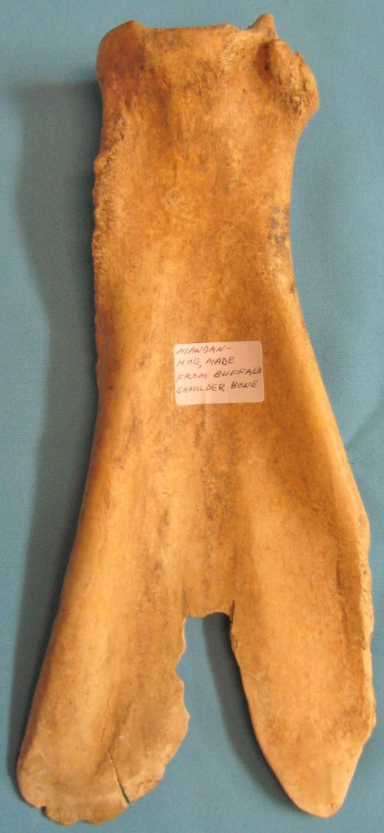 Mandan hoe, made from buffalo shoulder bone