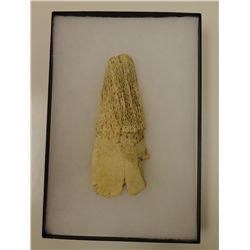 Mandan ladle & spatula, made by splitting buffalo skull & horn crosswise