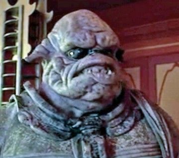 The Fifth Element Mangalore Head