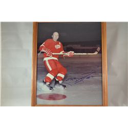 Gary Bergman Autographed Photo **Detroit Red Wings**